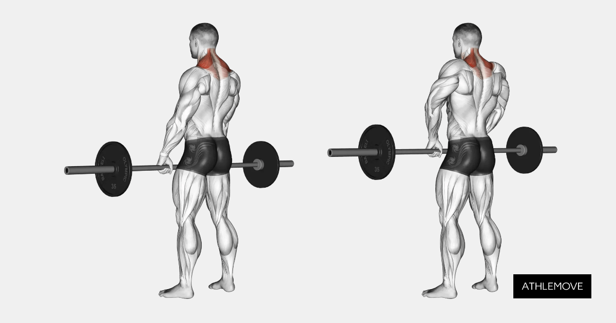 Barbell Shrug: Guide, Muscles Worked, Tips | Athlemove