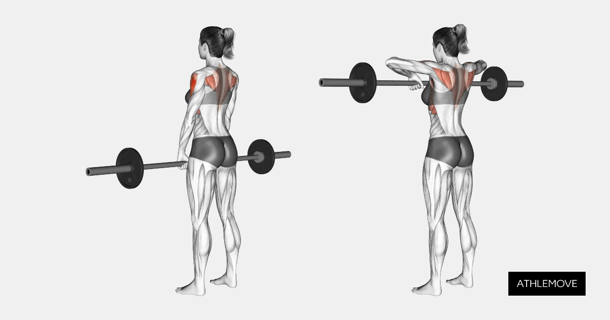 Barbell Upright Row: Guide, Muscles Worked, Tips | Athlemove