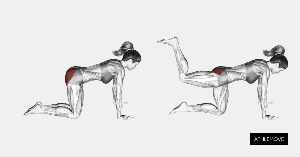 Bent Leg Kickback: Guide, Muscles Worked, Tips | Athlemove