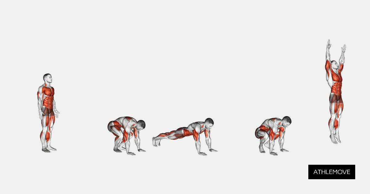 Burpee: Guide, Muscles Worked, Tips | Athlemove