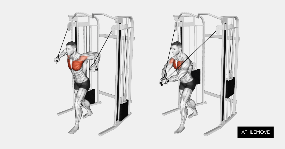 Cable Crossover: Guide, Muscles Worked, Tips | Athlemove