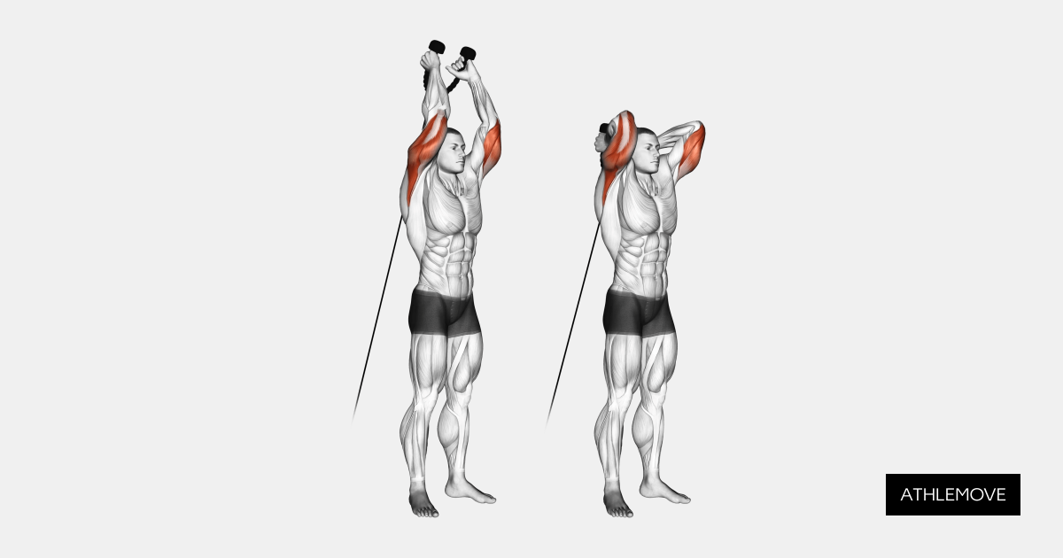 Cable Overhead Triceps Extension Guide Muscles Worked Tips Athlemove