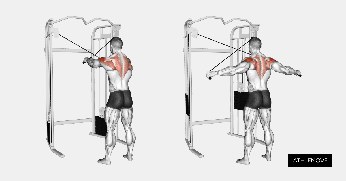 Cable Reverse Fly: Guide, Muscles Worked, Tips | Athlemove