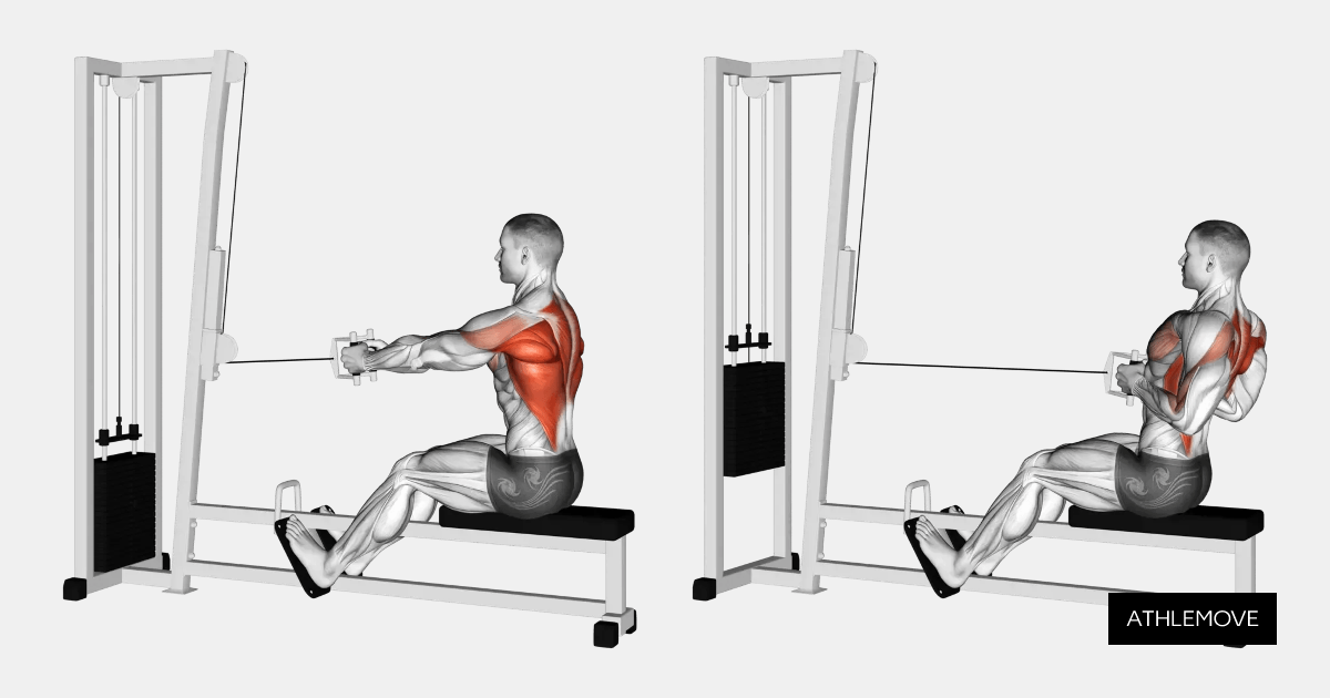 Cable Seated Row: Guide, Muscles Worked, Tips | Athlemove