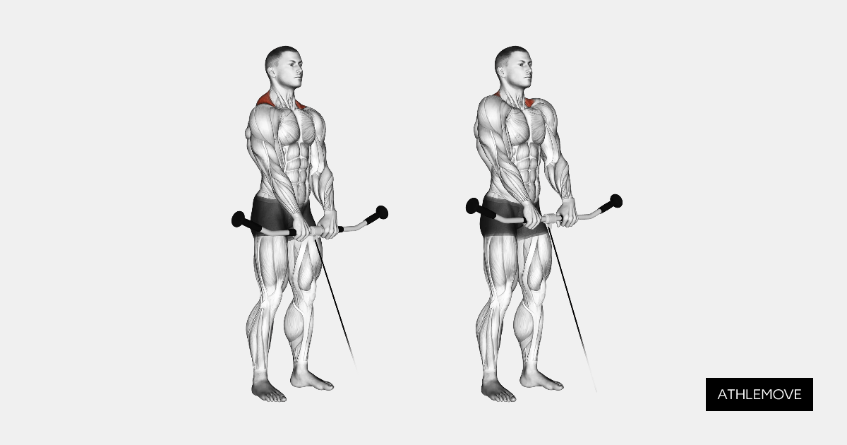 Cable Shrug: Guide, Muscles Worked, Tips | Athlemove