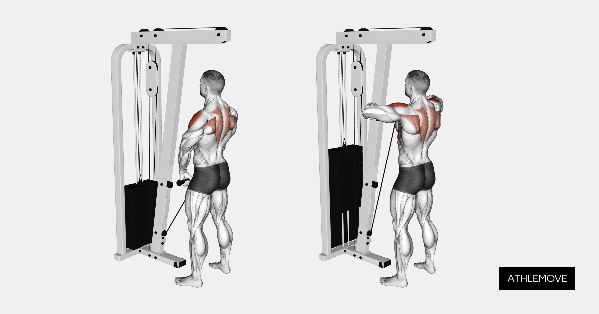 Cable Upright Row: Guide, Muscles Worked, Tips | Athlemove