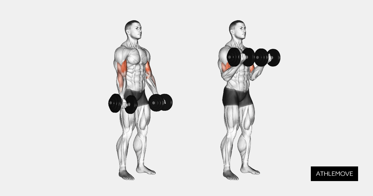 Dumbbell Curl: Guide, Muscles Worked, Tips | Athlemove