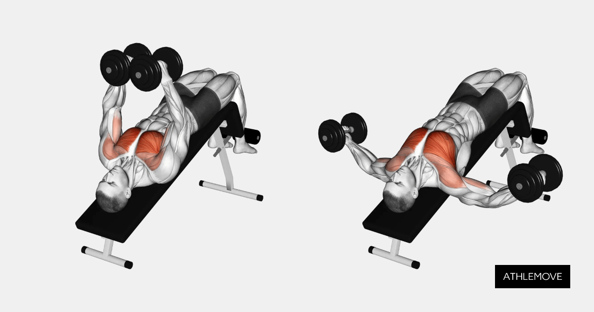 Dumbbell Decline Fly: Guide, Muscles Worked, Tips | Athlemove