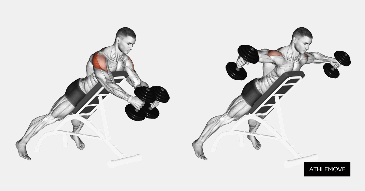 Dumbbell Reverse Fly: Guide, Muscles Worked, Tips | Athlemove
