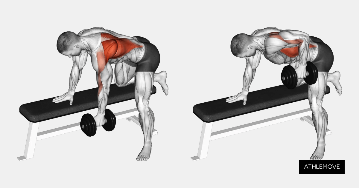 Dumbbell Single-Arm Bent-Over Row: Guide, Muscles Worked, Tips | Athlemove