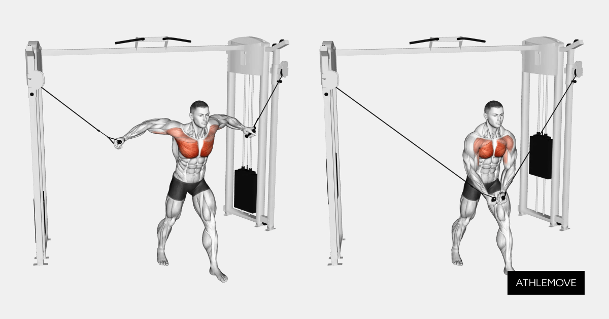 High Cable Chest Fly: Guide, Muscles Worked, Tips | Athlemove