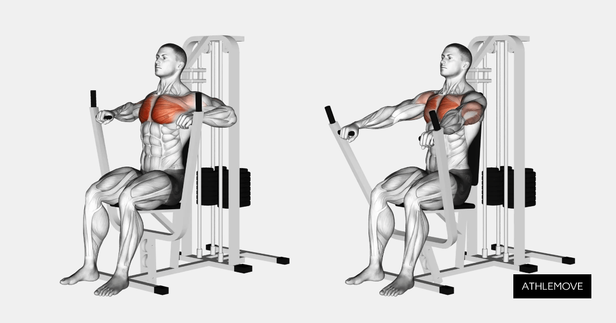 Machine Bench Press: Guide, Muscles Worked, Tips | Athlemove