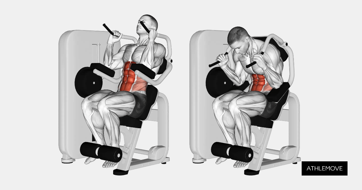 Machine Crunch: Guide, Muscles Worked, Tips | Athlemove