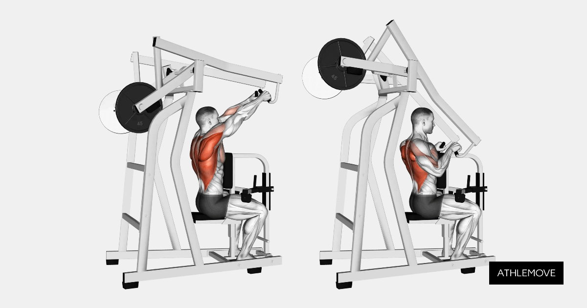 Machine High Row: Guide, Muscles Worked, Tips | Athlemove