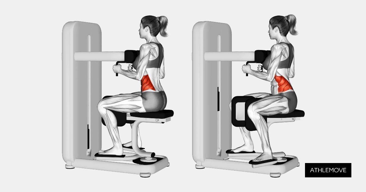 Machine Torso Rotation: Guide, Muscles Worked, Tips | Athlemove