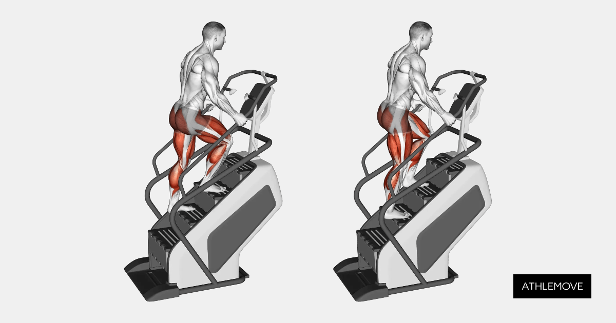 Step Machine: Guide, Muscles Worked, Tips | Athlemove