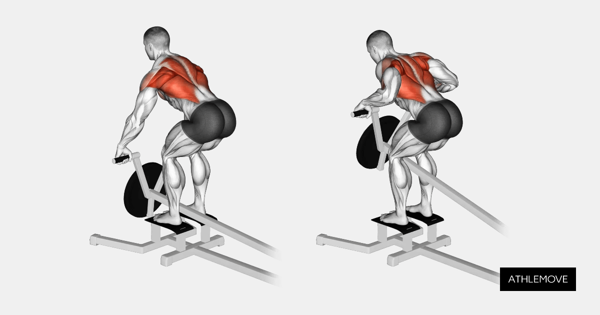 T-Bar Row: Guide, Muscles Worked, Tips | Athlemove