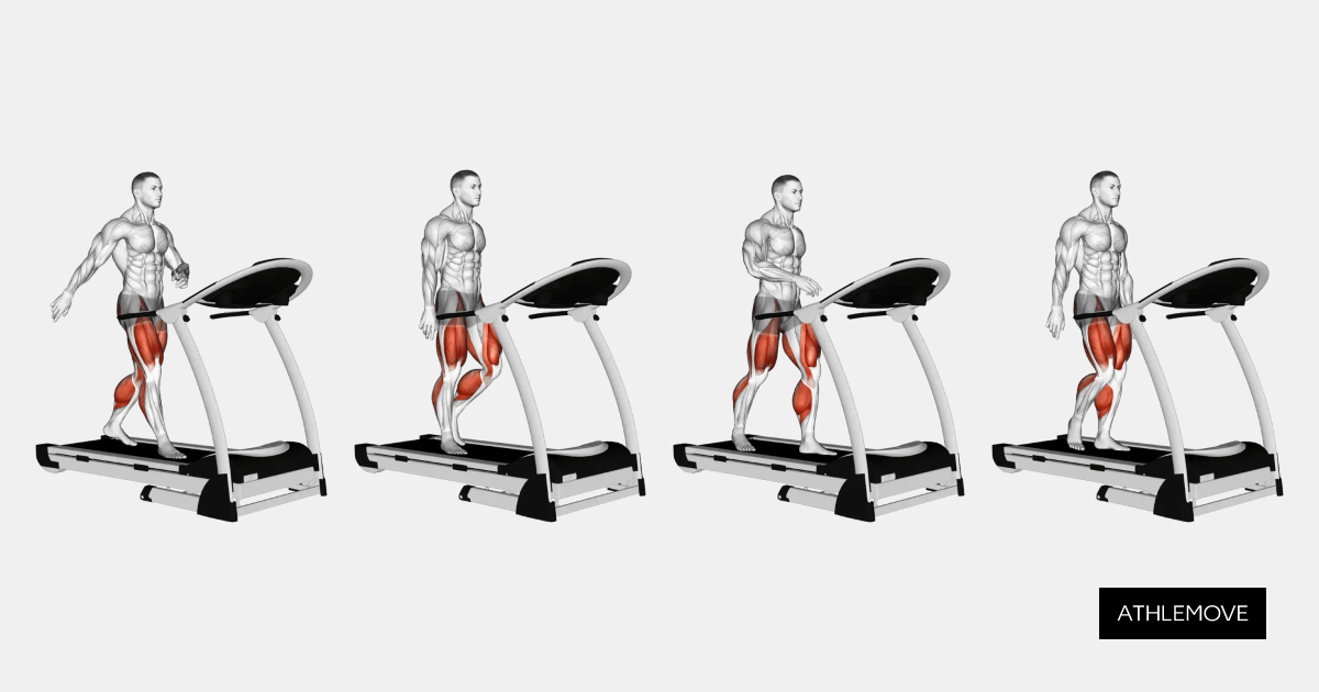 Treadmill Walking: Guide, Muscles Worked, Tips | Athlemove